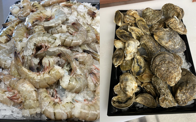 Your Local Butcher - City Butcher and Fish - Clarkesville Ga